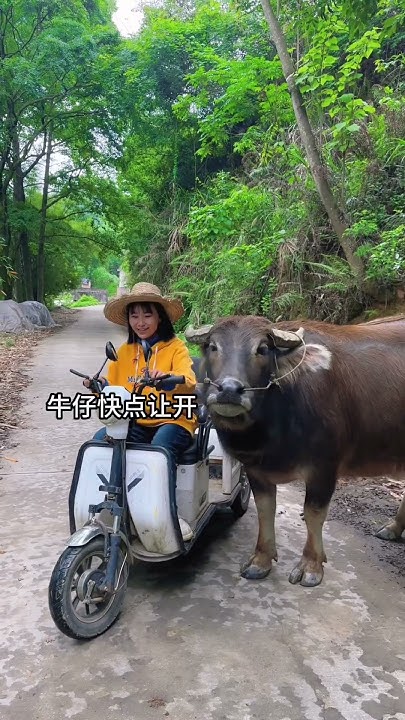 我真心对待这个世界，热爱生活，想尽自己一切的努力去让生活过得更好，奈何造化弄人，没人希望你过得比他好shorts广西放牛妹农村vlog农村生活 Youtube