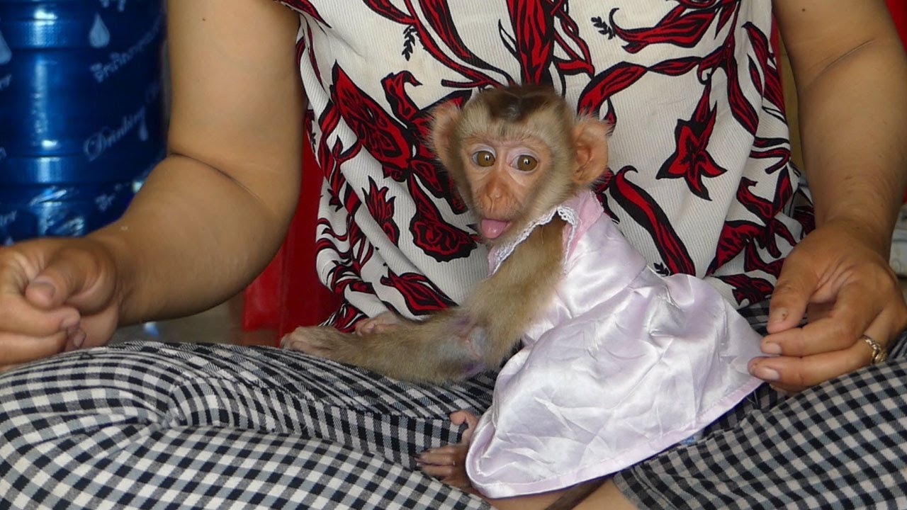 Wow, Most beautiful tiny princess Ella today with new dress - YouTube