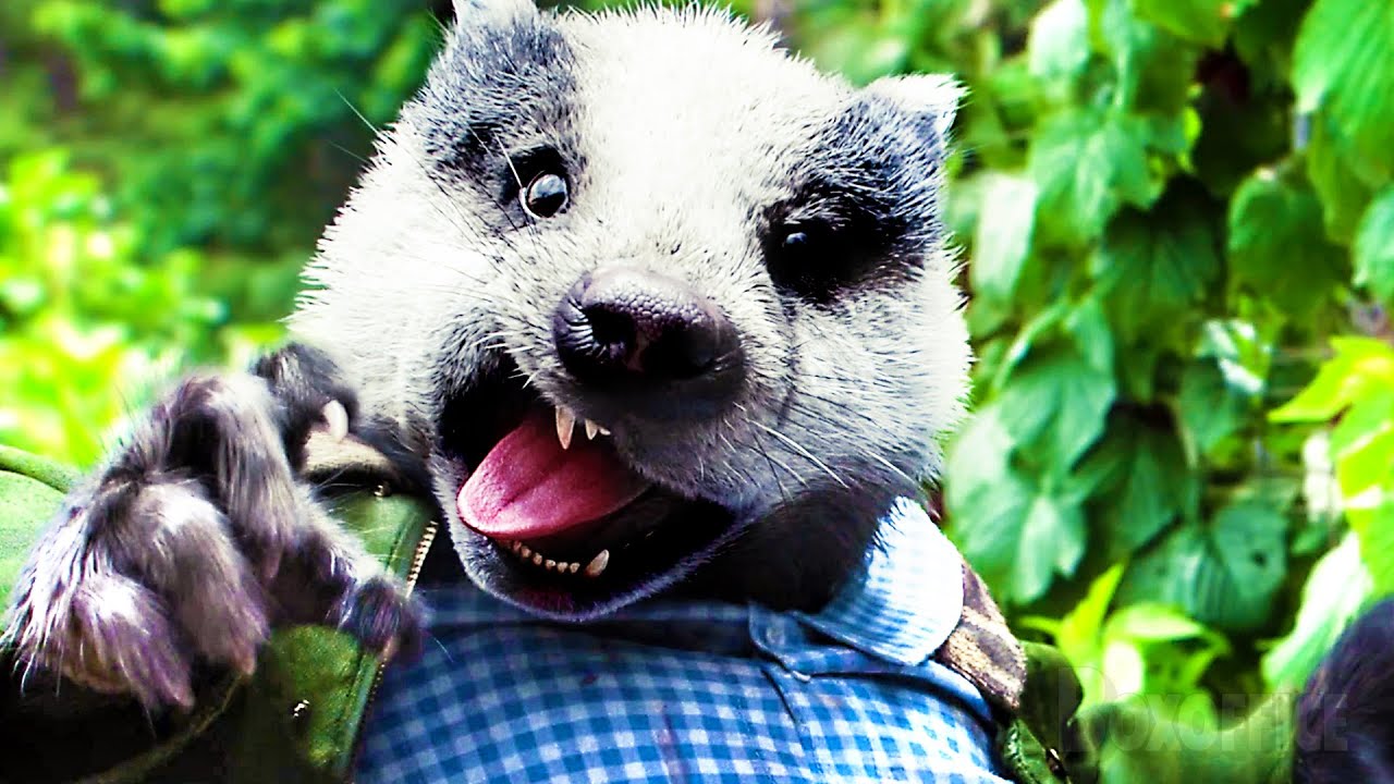 ADORABLE Badger joins the team | Peter Rabbit 2 | CLIP 🔥 4K - YouTube