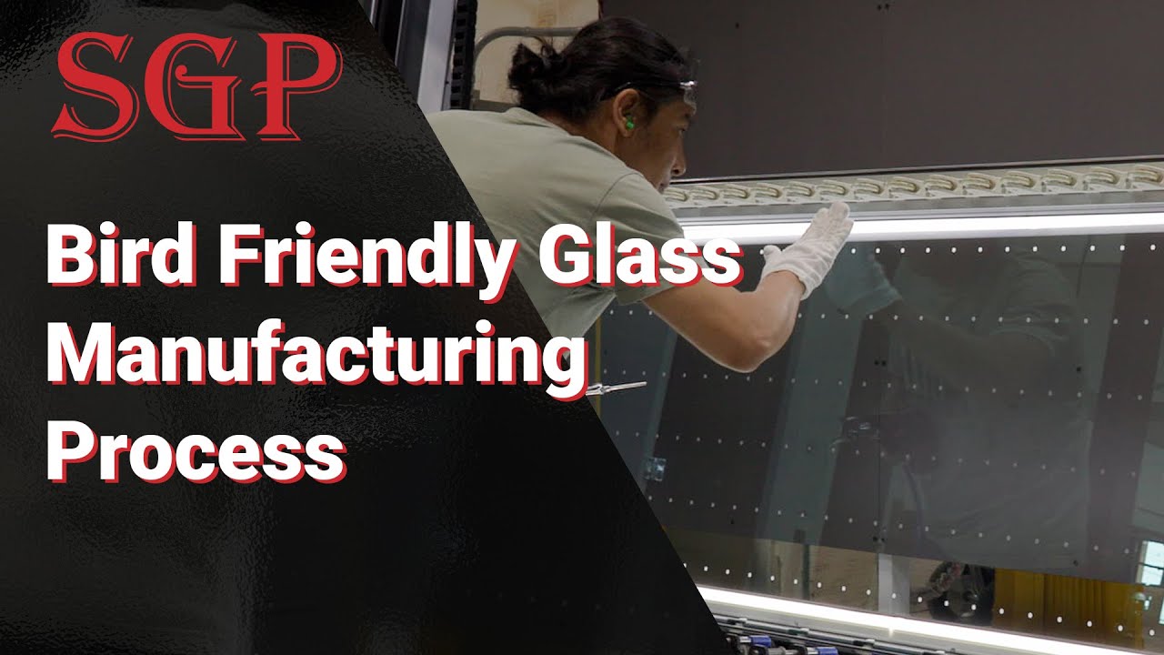 Bird Friendly Glass Manufacturing Process | Insulated Glass Units by ...