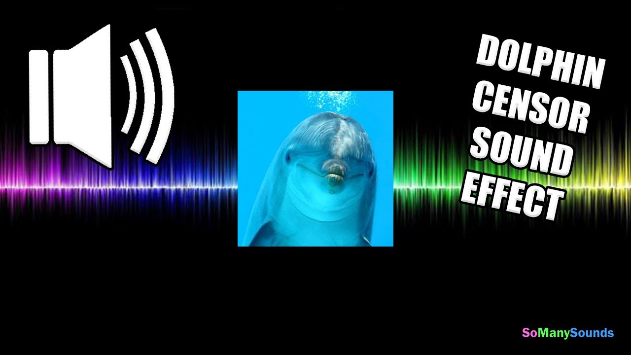 Dolphin Censor Sound Effect - YouTube
