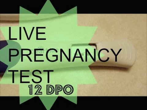 LIVE PREGNANCY TEST!!! 12dpo ||FINALLY|| - YouTube