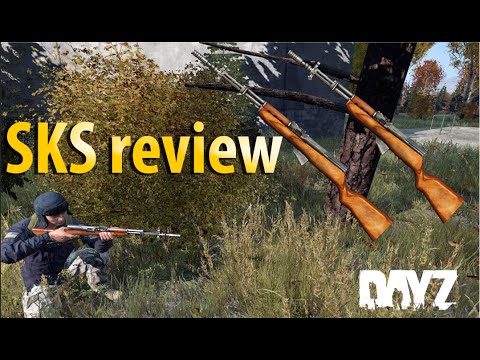 DayZ Standalone - SKS review - YouTube