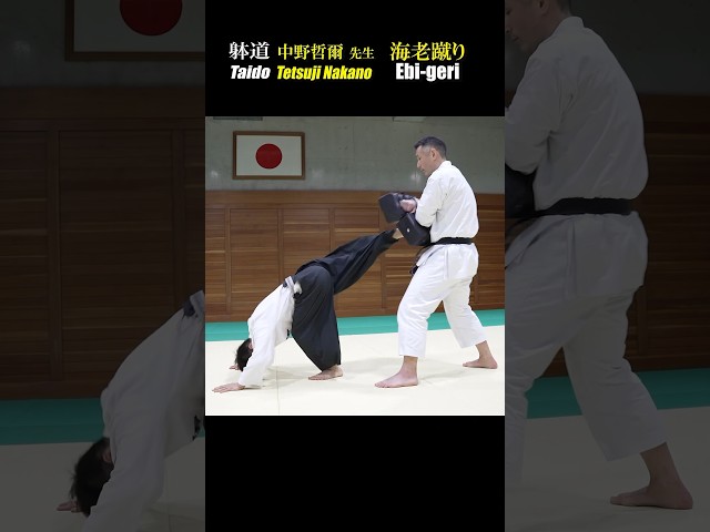 Kuro-obi world - Jissen Karate