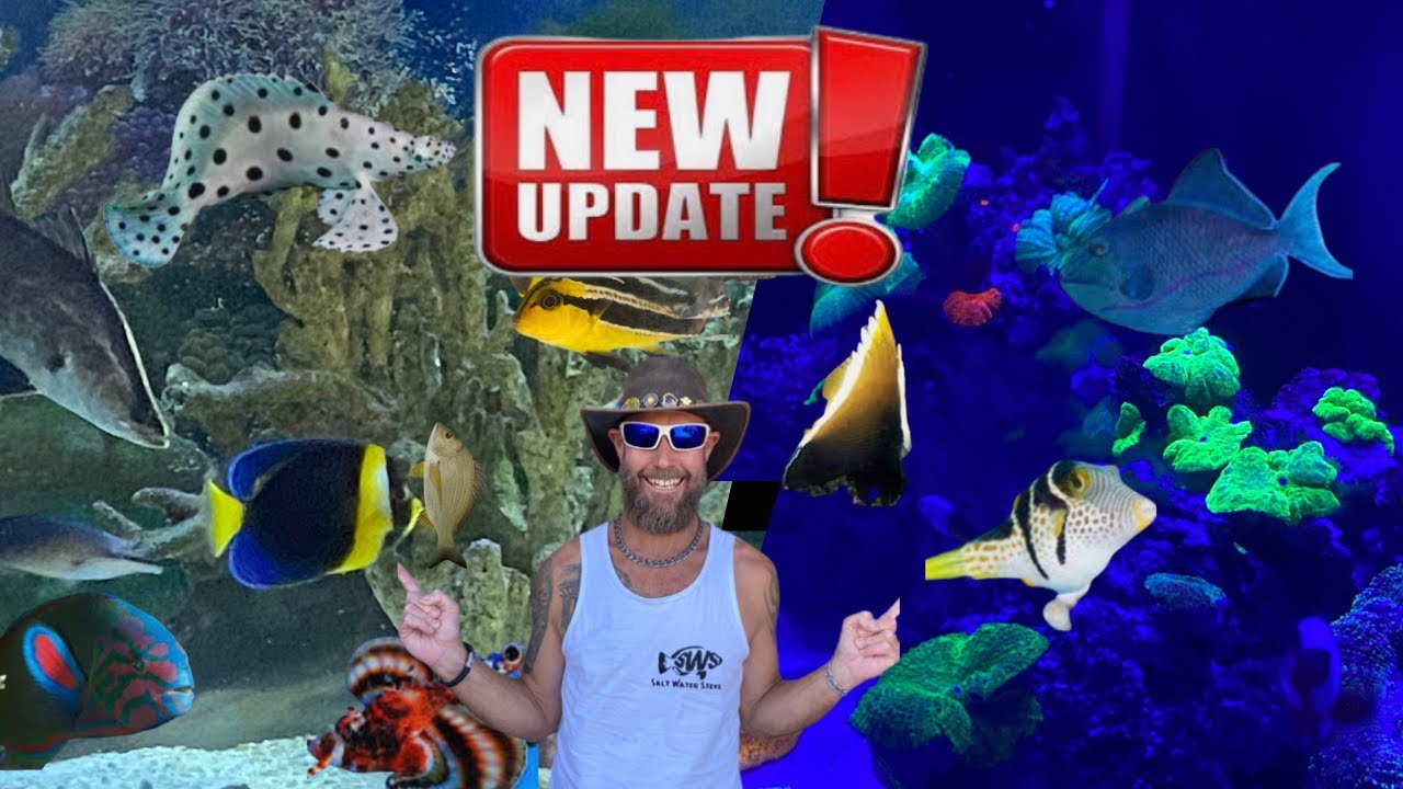 Getting rid of my NEW FISH all TANKS UPDATE 🤙🏽 SWS - YouTube