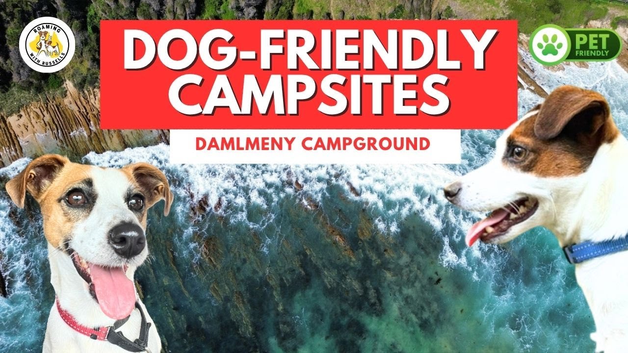 Dalmeny Campground Tour – Beachfront Camping on the NSW South Coast! ⛺🌊 ...
