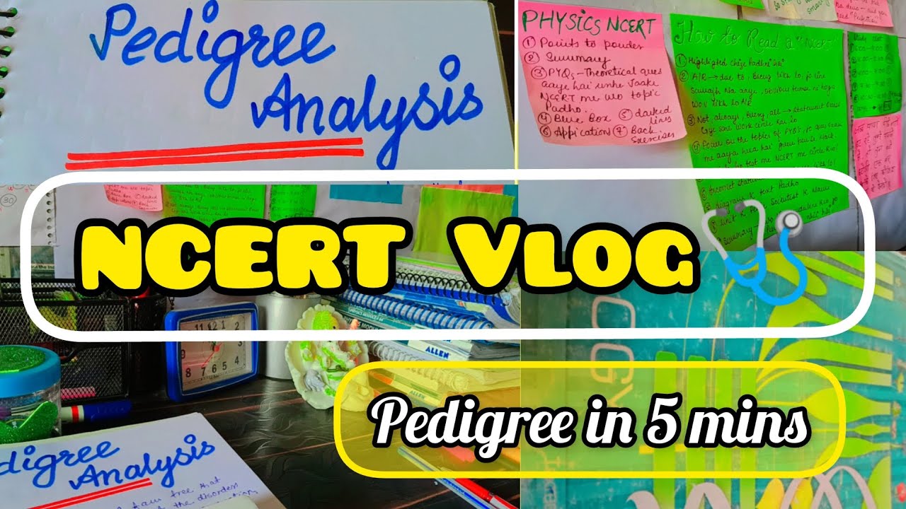 PEDIGREE ANALYSIS Ncert Biology NCERT Vlog NEET2024 YouTube pedigree-analysis-ncert-biology-ncert-vlog-neet2024-youtube