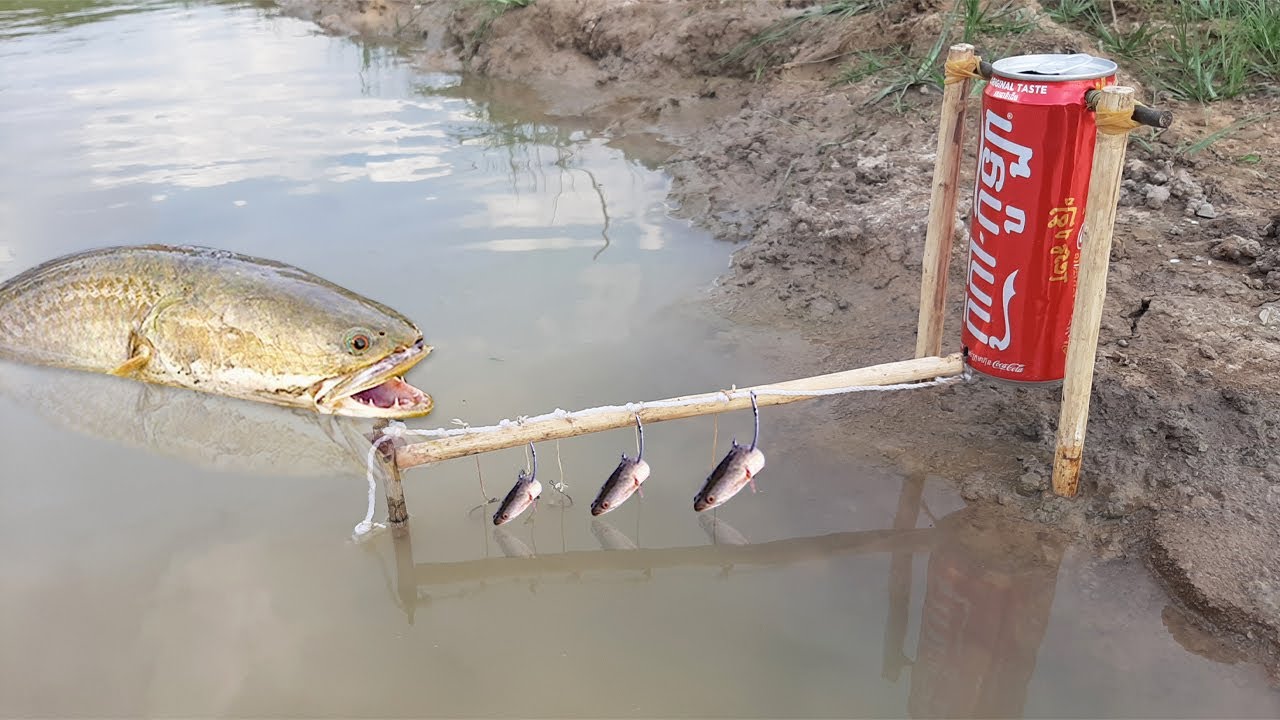 Build Unique Fish Trap Using Coca cola Can With Hooks - Unique Creative ...