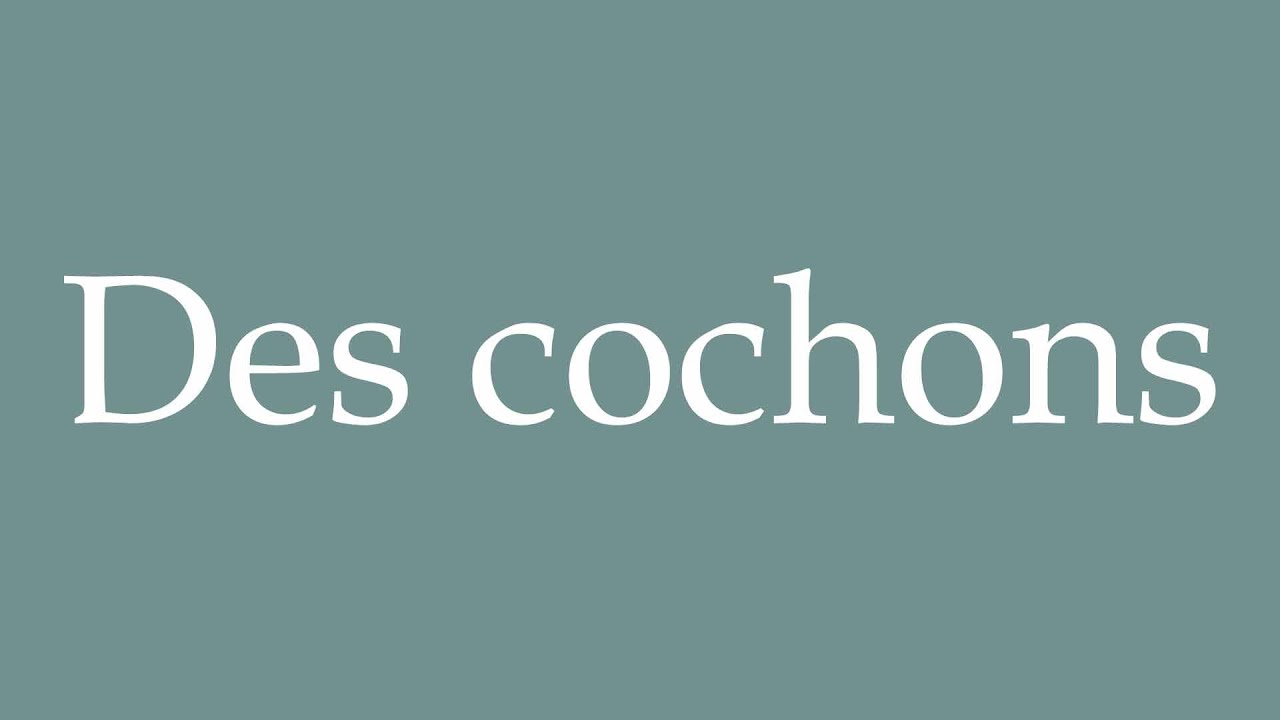 How to Pronounce ''Des cochons'' (Pigs) Correctly in French - YouTube