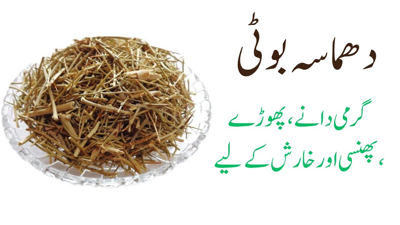 Damasa boti ke fayde | دھماسہ بوٹی کے فوائد - YouTube