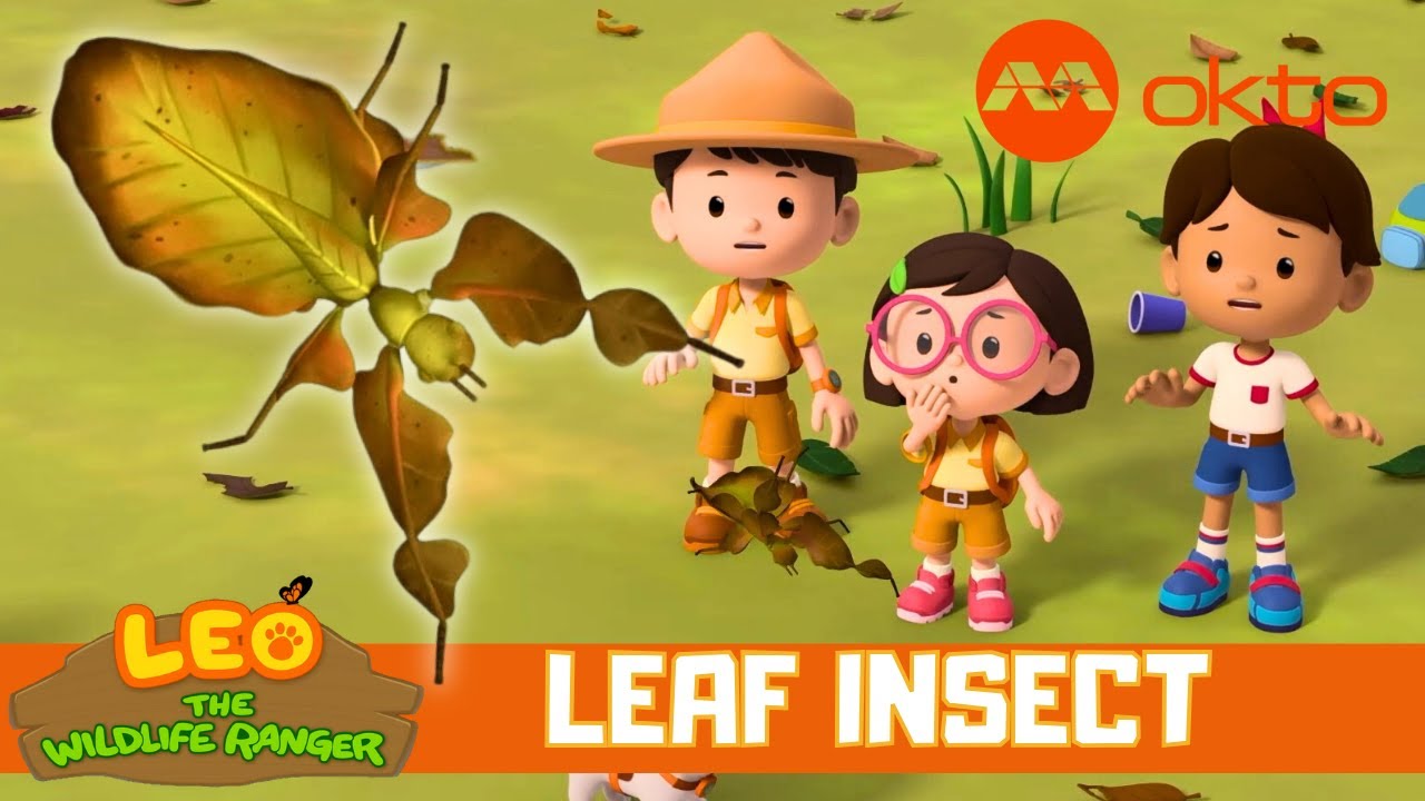 NEW DISCOVERY! Is this a LEAF or an INSECT? | Leo the Wildlife Ranger ...