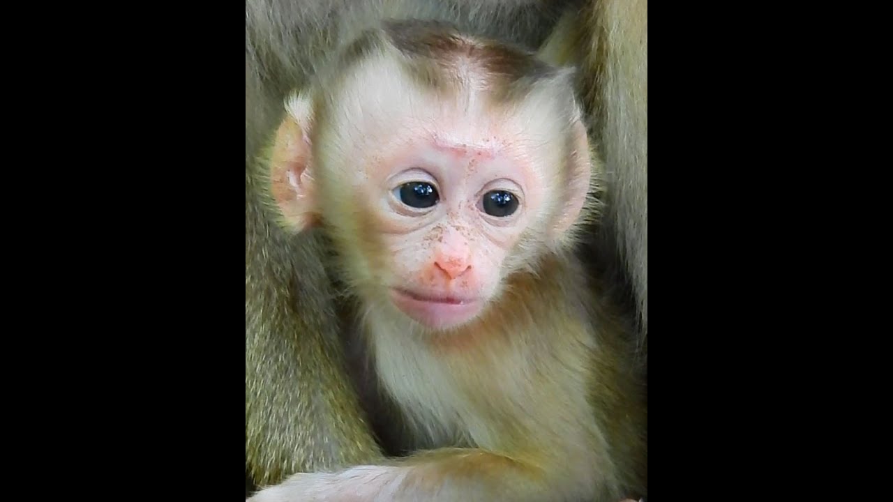 Cute Baby Jenifer Ready to Play and Explore with Friends! 🌟👶 # ...