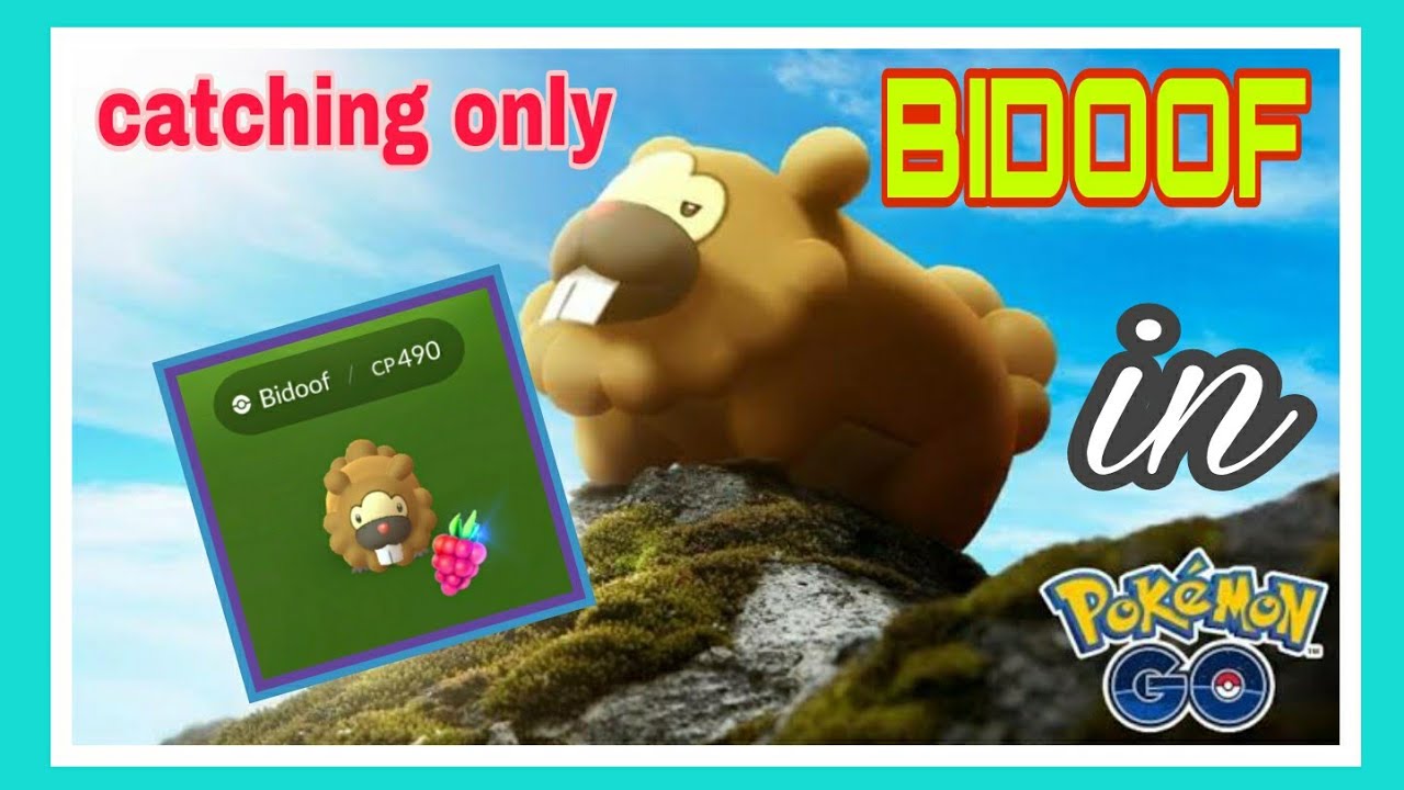 catching only BIDOOF in pokemon go🍀 || ⭐bidoof event⭐ - YouTube