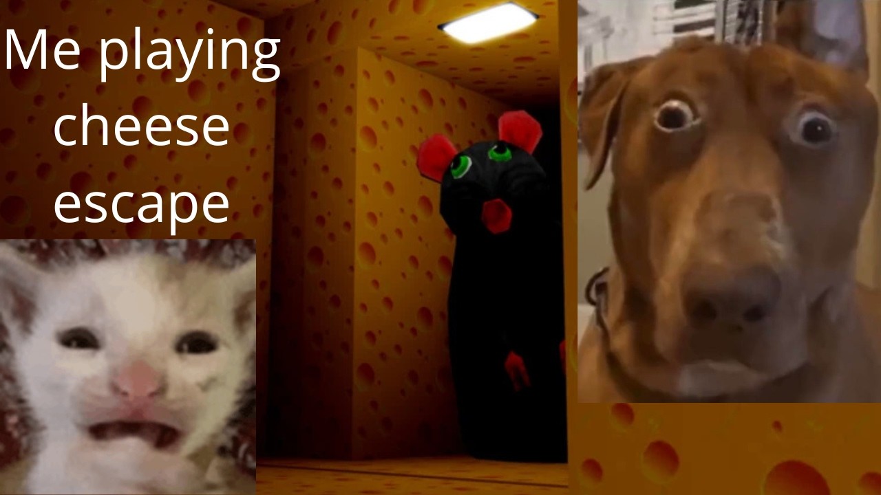 Playing Cheese escape - YouTube