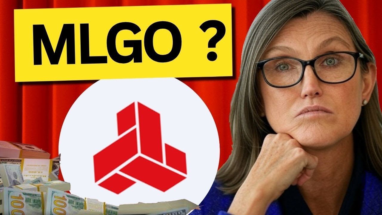 MLGO Stock NEWS Alert! (Buying? Finally?) MicroAlgo - YouTube