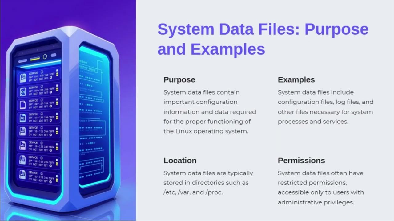 File types in Linux - YouTube