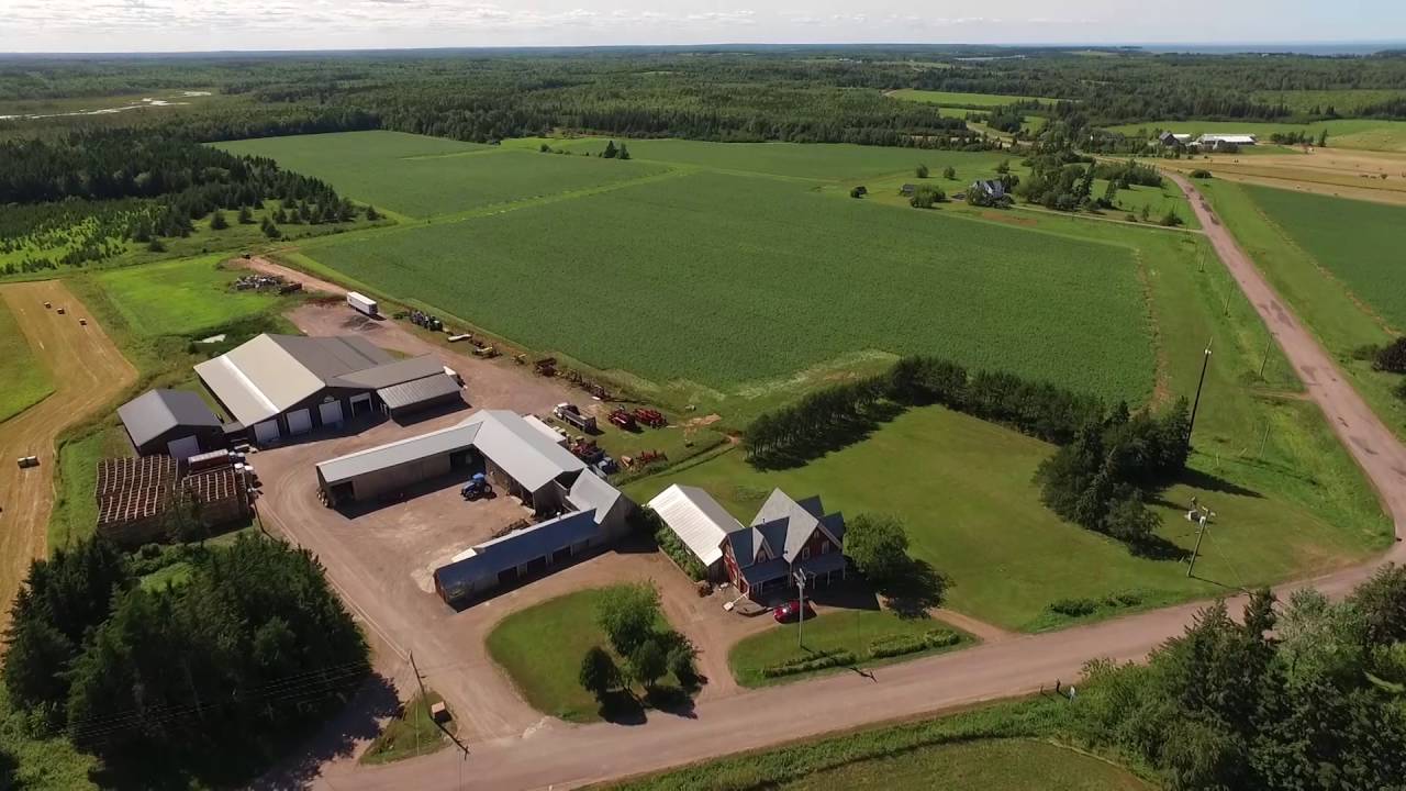 Fall At Timber River Eco Farms - YouTube