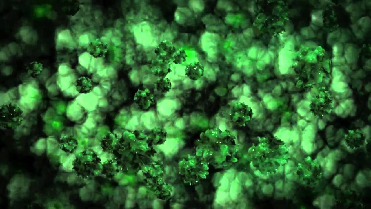 Virus - video designed by dreamscene.org - YouTube