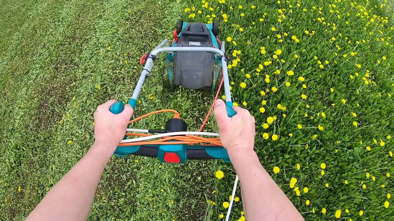 Mowing flowers with a lawn mower - YouTube