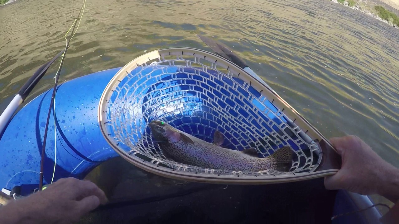 Spencer lands a lunker trout on the Yakima River - YouTube