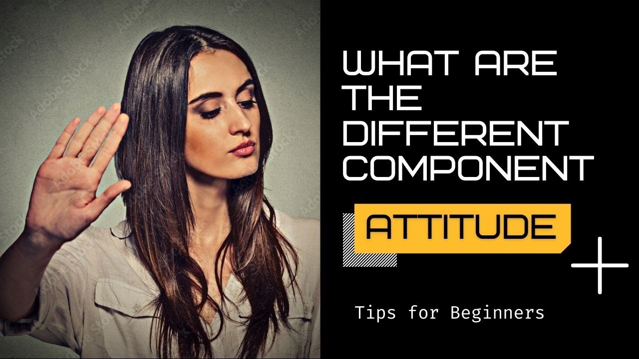 What Are The Different Component Of Attitude? | Cognitive, Affective ...