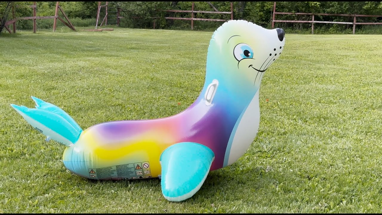 Poke Popping Inflatable Rainbow Seal Ride-On Then Totally Destroying It ...