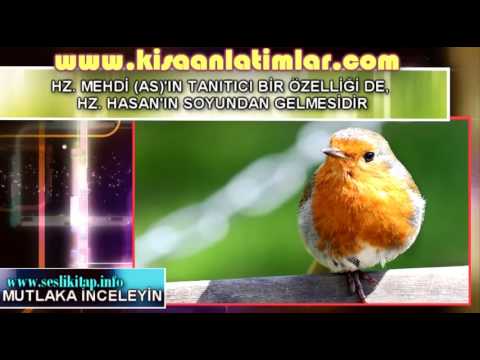 HZ  MEHDİ AS'IN TANITICI BİR ÖZELLİĞİ DE, HZ  HASAN'IN SOYUNDAN GELMESİDİR