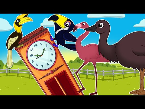 Hickory Dickory Dock Birds Version (Tucan, Peacock, Emu) | Nursery Rhymes for Kids