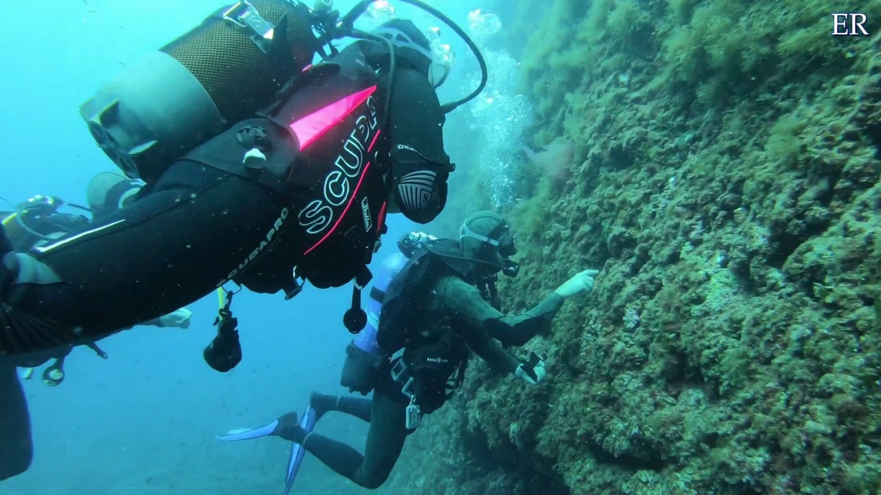 Plongée sous marine en méditerranée - YouTube