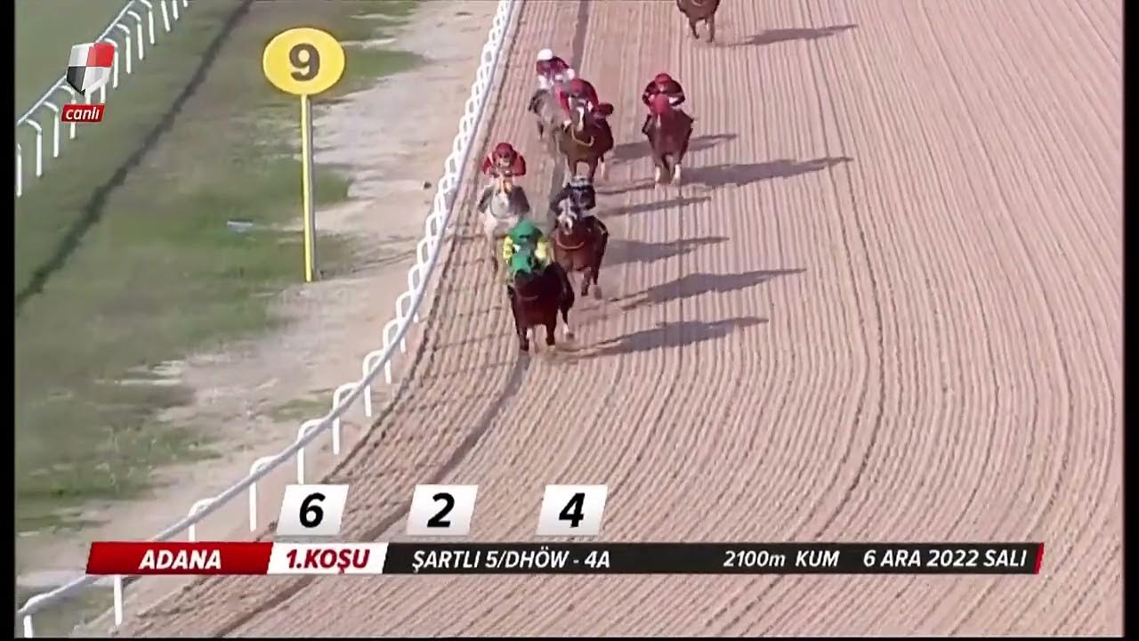 TJK TV'DE YENİ BİR SES, YENİ BİR SPİKER | "Umut Yurdakul" (İlk Yarış Anlatımı) - YouTube