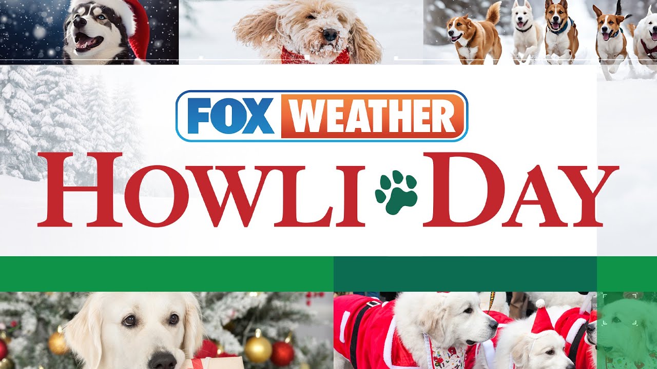 FOX Weather ‘Howli-day’ Special | Full Episode - YouTube
