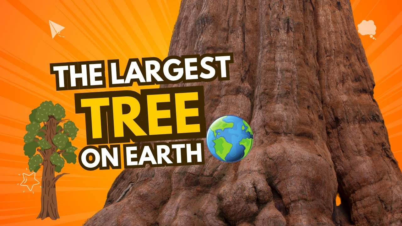 2,000 Years Old and Still Growing – The Giant General Sherman Tree ...