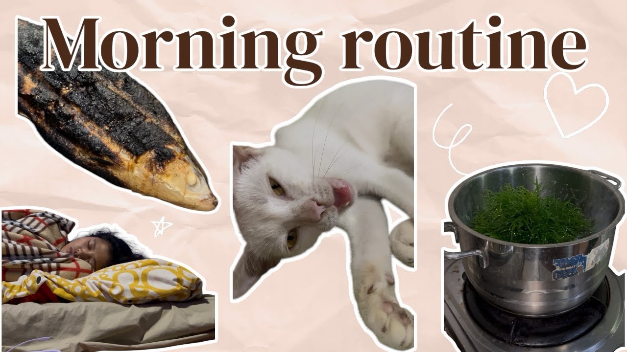 Morning routine - YouTube
