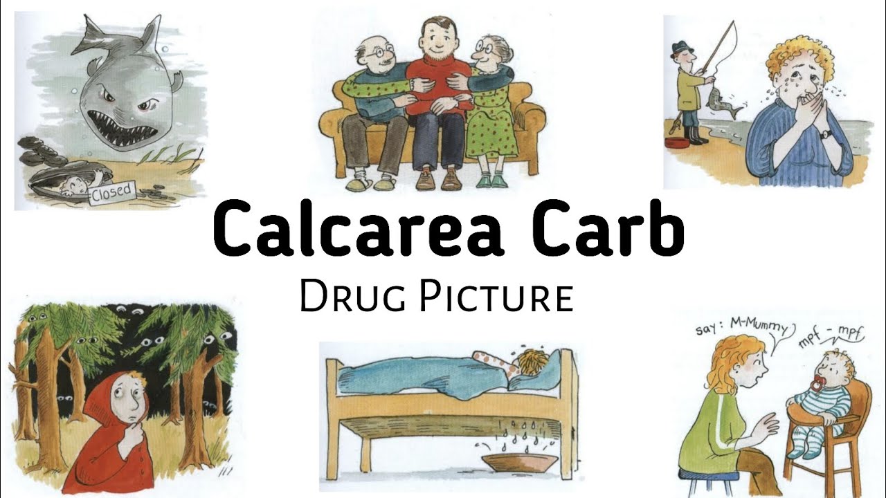 Calcarea Carb - Drug Picture | Delayed Milestones + Fat + Fair + Flabby ...