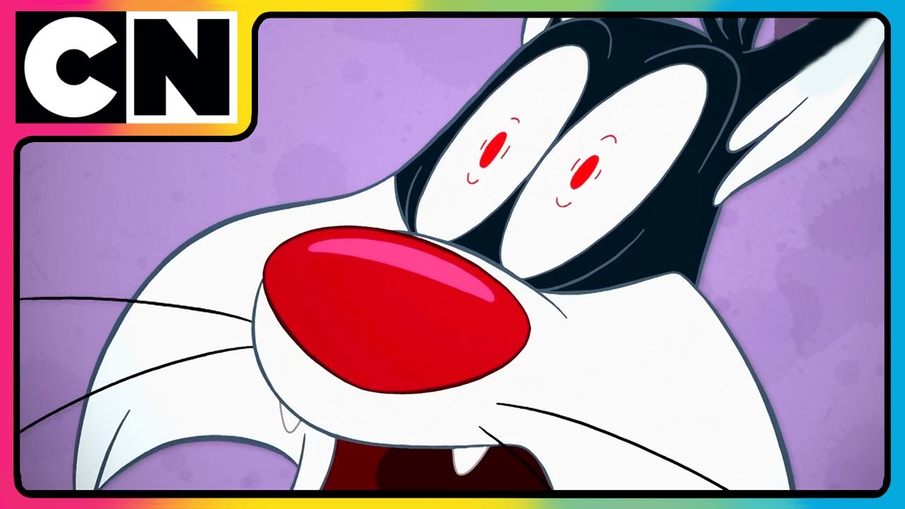 Looney Tunes Show Sylvester