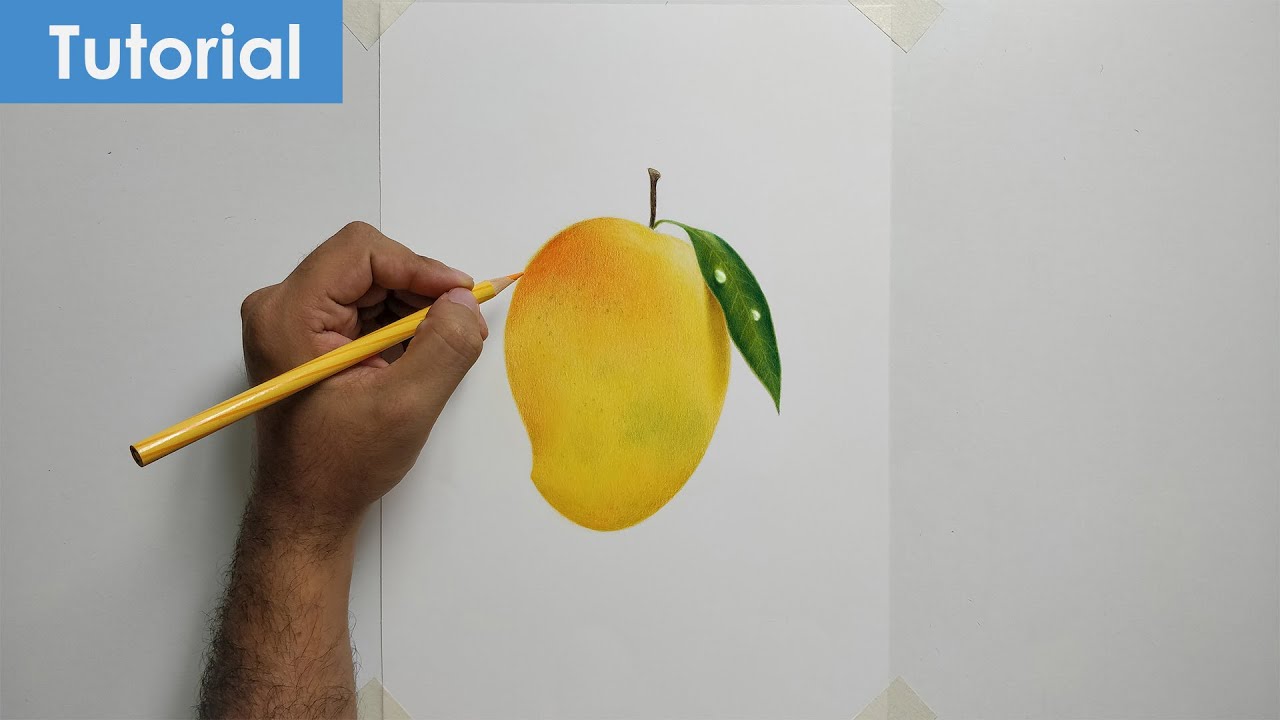 How To Draw A Mango 🥭 | Color Pencil Drawing | Step By Step Tutorial ...