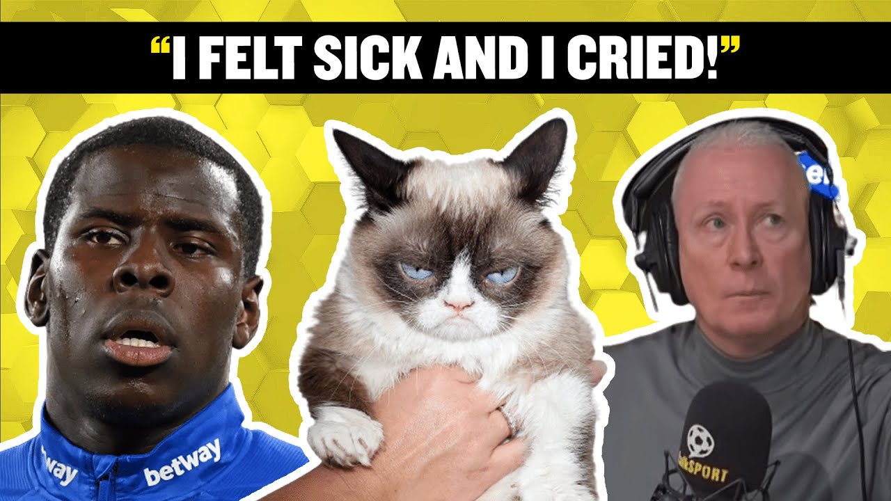 Sick Grumpy Cat Memes Horace And Frances Discuss The New York Times