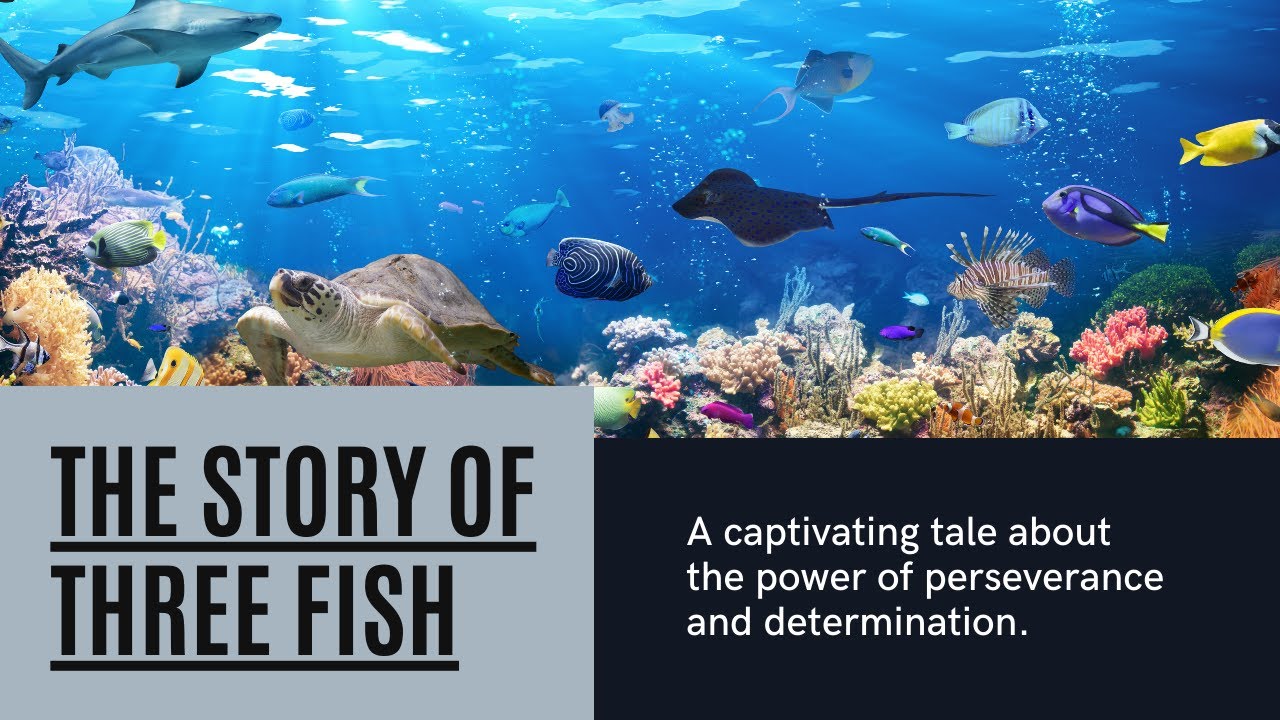 The Tale of Three Fish: A Lesson in Adaptability - YouTube