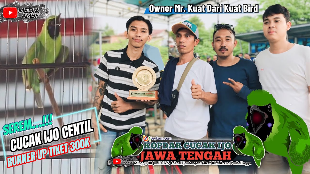 SEREM‼️ CUCAK IJO CENTIL RUNNER UP TIKET 300K DI KOPDAR CUCAK IJO JAWA ...