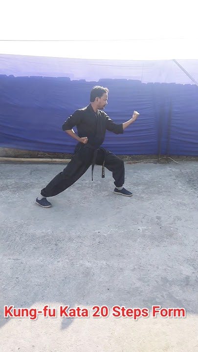 Sikhe Kung-fu Kata Part 1| Shorts | Kung-fu Form Part 1| 20 Steps Form ( Kata) Basic Kata ...