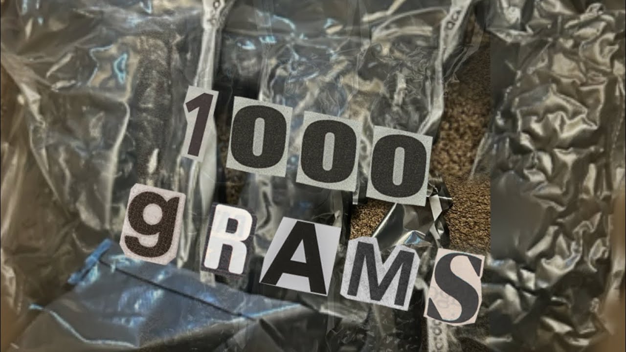 Jaymo9 - 1000 GRAMS (Official Audio) - YouTube