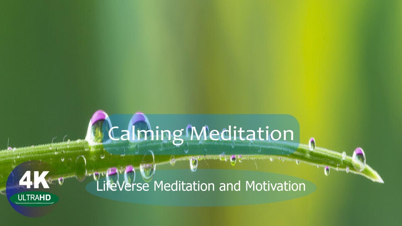LifeVerse Meditation: Calming Music for Deep Sleep & Motivation - YouTube