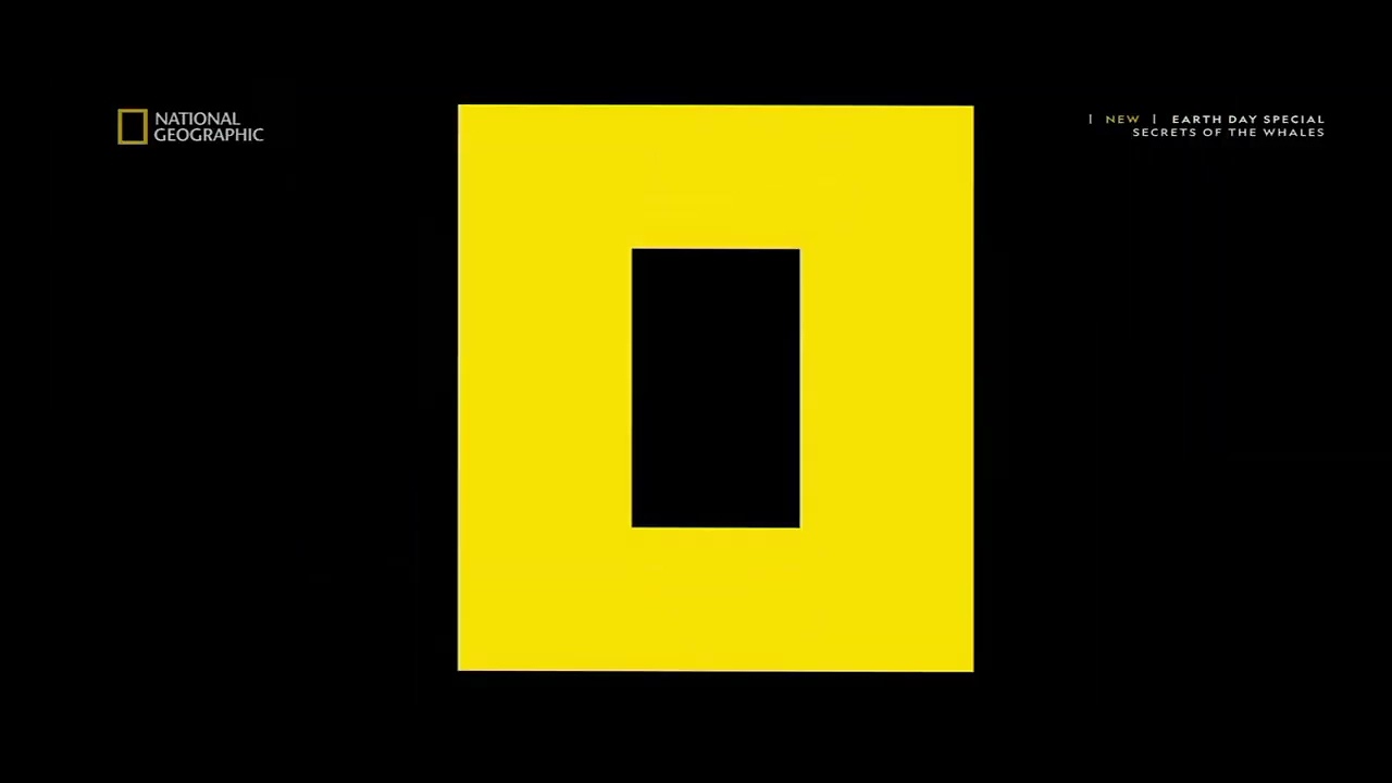 (Earth Day Special) Secrets of the Whales - National Geographic Intro ...