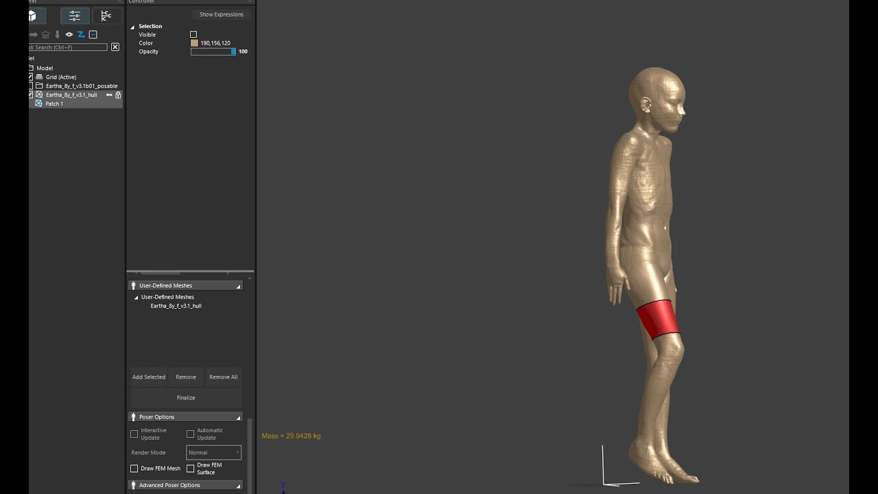 Sim4Life Poser: User Defined Surfaces - YouTube