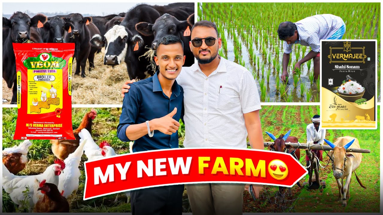 My New Farm 😍 Assam No. 1 Rice Mill How is rice made?- Sonu Vlogs - YouTube