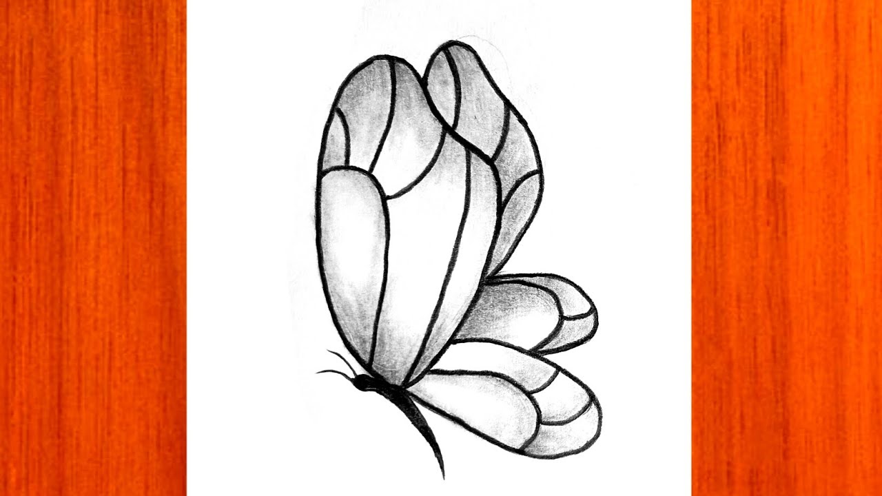 How to draw a cute butterfly step by step || Easy drawing with pencil ...