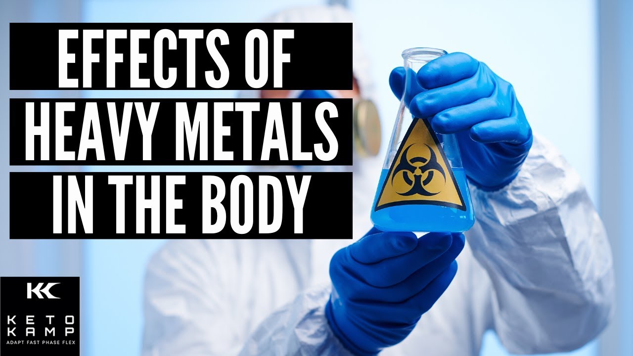 Laurie Hammer, 21 Day Fasting Results, How Toxins Create Disease ...