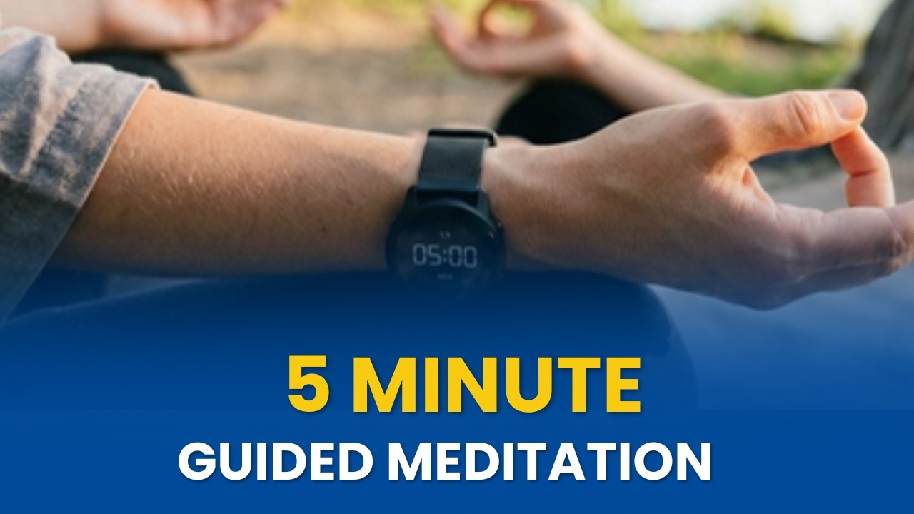5 Minute Guided Meditation - YouTube