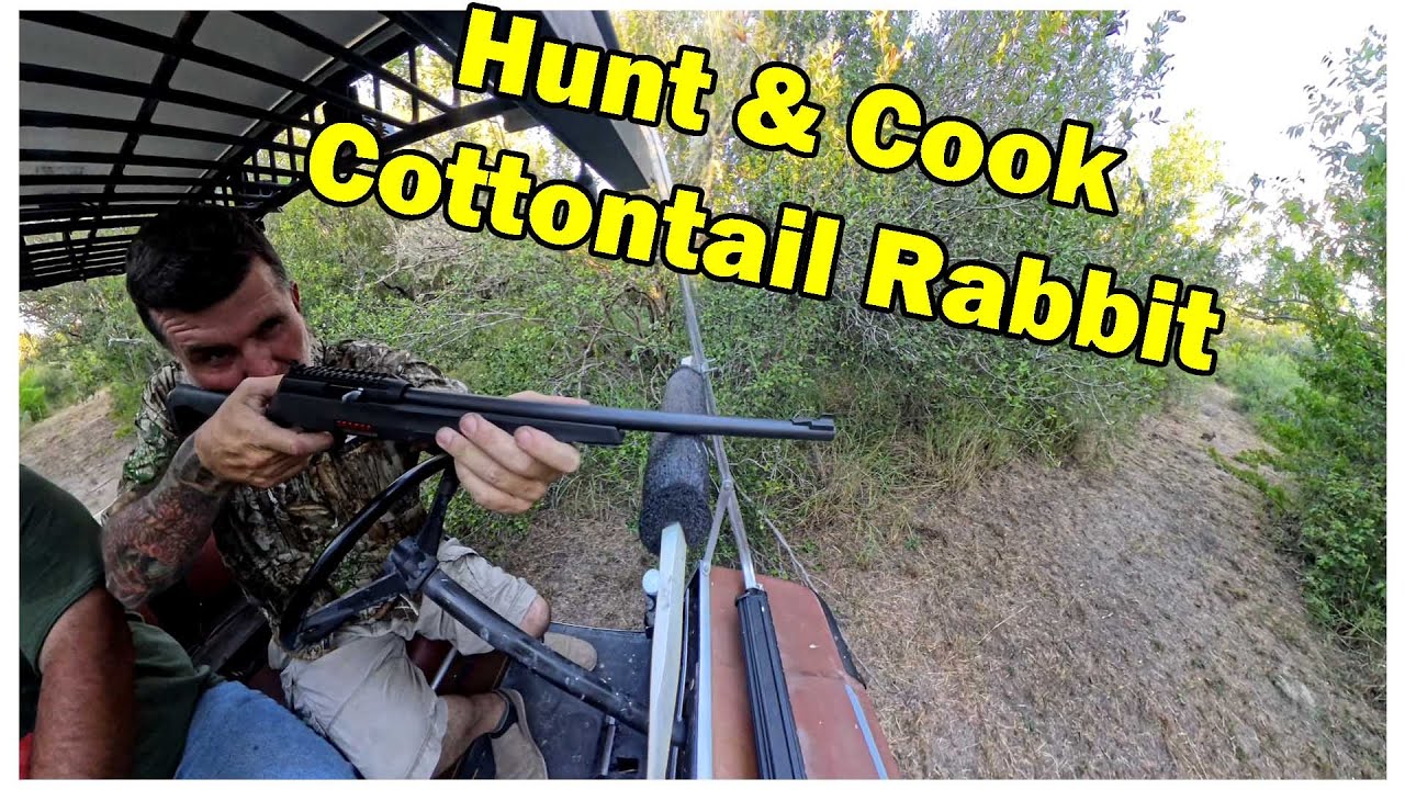 vlog - Camping out to hunt and cook cotton tail rabbit Back at The ...