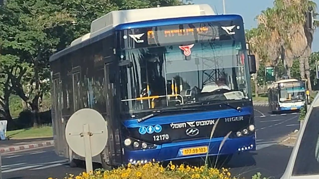 Buses of Dan and Metropoline on Rokach blvd. in Tel Aviv - YouTube